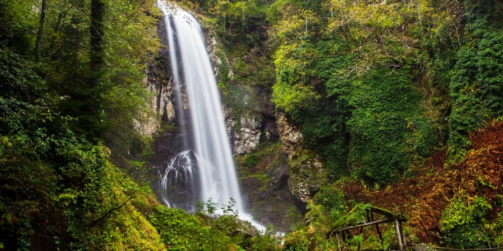 Trip to Mountainous Adjara and Borjgalo Museum | Batumi guided trips 2026